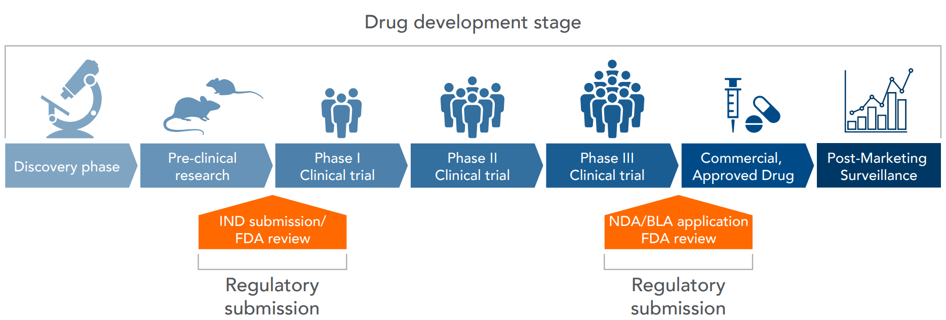 Navigating Cell and Gene Therapy Regulations | IDT